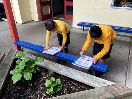 Welcome – Botany Downs Primary School