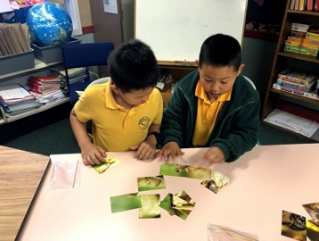 Welcome – Botany Downs Primary School